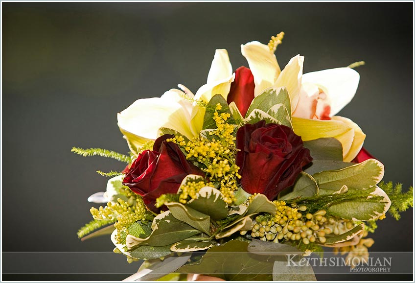 Grand Island Mansion | Walnut Grove – Keith Simonian Photography